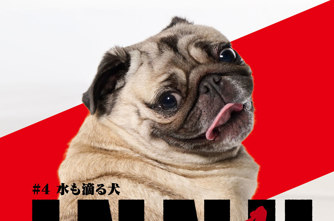 INNU-イッヌ- - 大沼隆揮/小丸ひかり / ＃4 水も滴る犬 | コミックDAYS