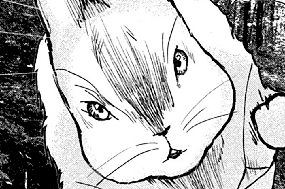 INNU-イッヌ- - 大沼隆揮/小丸ひかり / ＃50 帰還する犬 | コミックDAYS