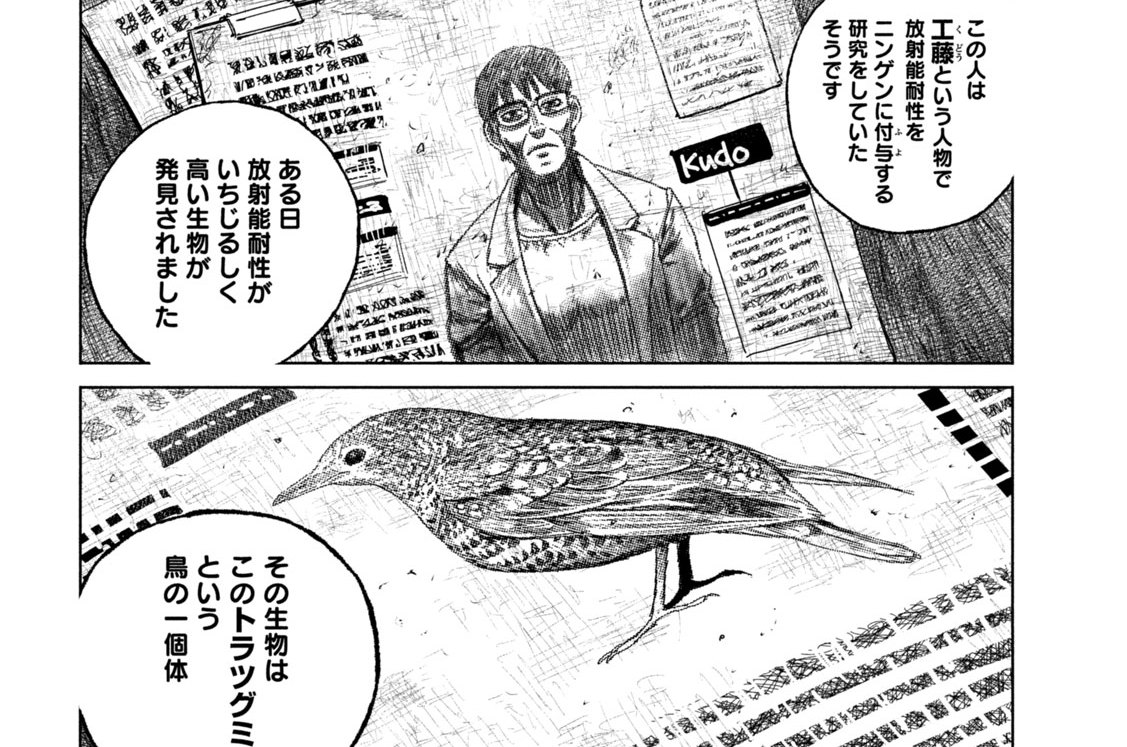 虎鶫 とらつぐみ －TSUGUMI PROJECT－ - ippatu / 43話 天に在らば比翼の鳥（中編） | コミックDAYS