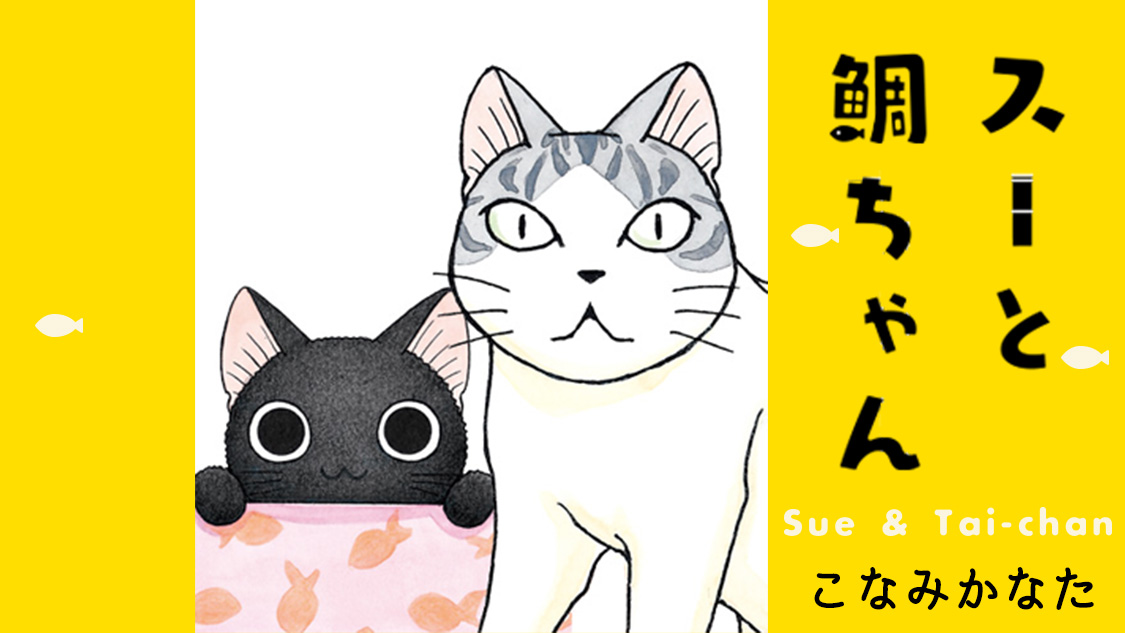 スーと鯛ちゃん こなみかなた 第1話 鯛（たい）ちゃんがやってきた！ コミックdays